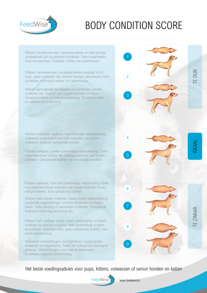 NIEUW: FeedWise BCS posters – HET ONLINE VOEDINGSPLATFORM VOOR DE ...